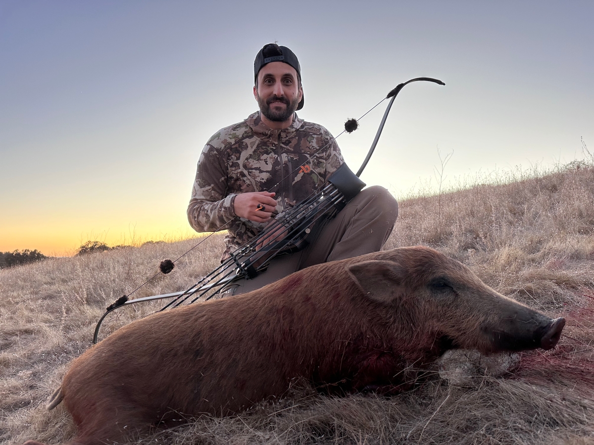 Wild Pig Hunts California | Hog Hunting with Skyrose Ranch Hunting ...