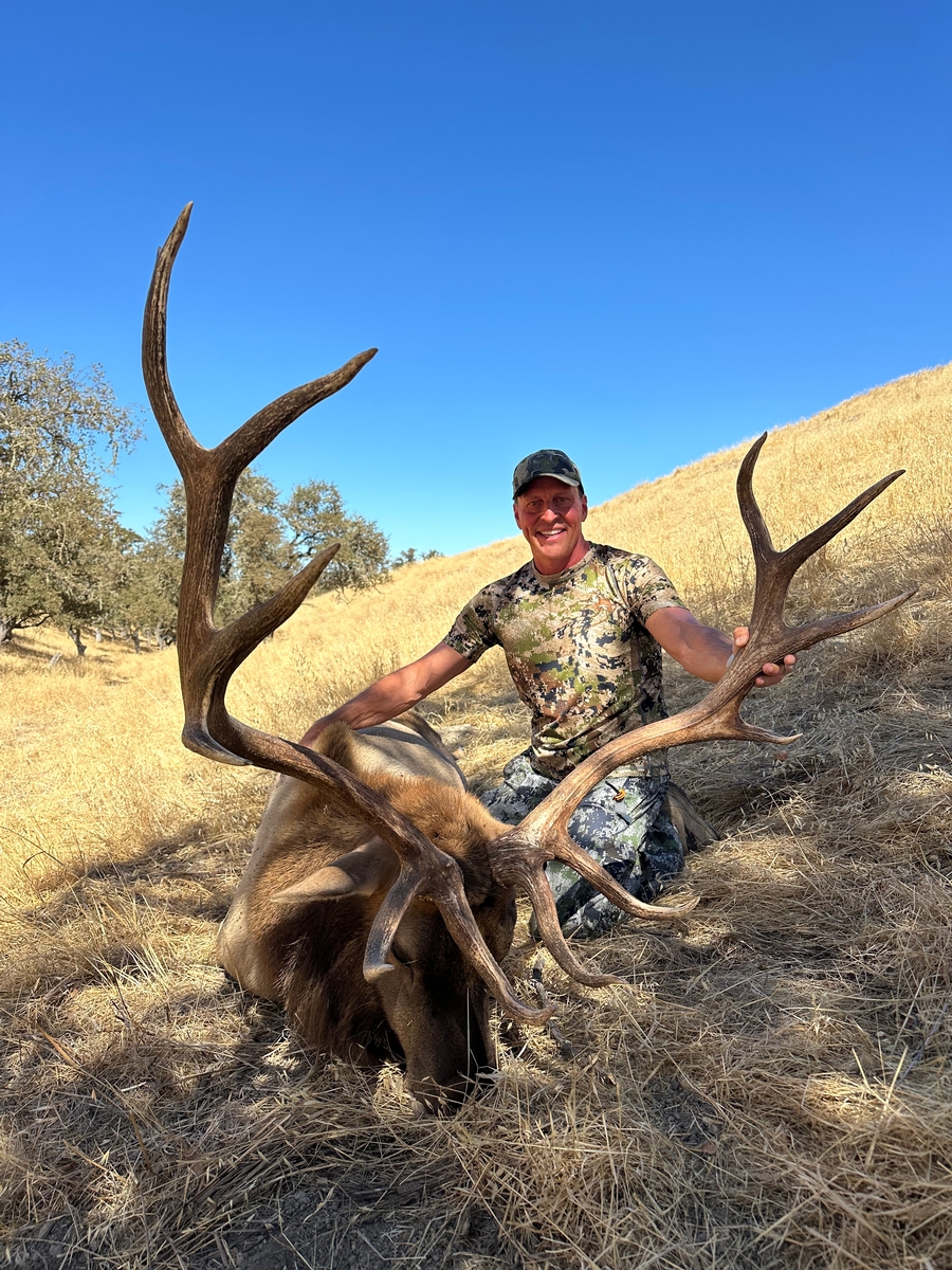 Skyrose Ranch Hunting Tule elk Photo Gallery